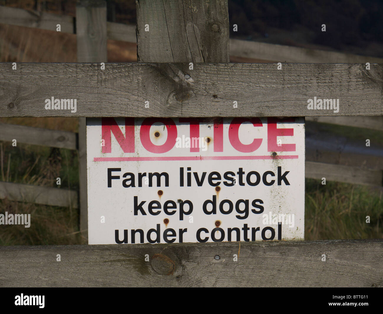Livestock warning sign hi-res stock photography and images - Alamy