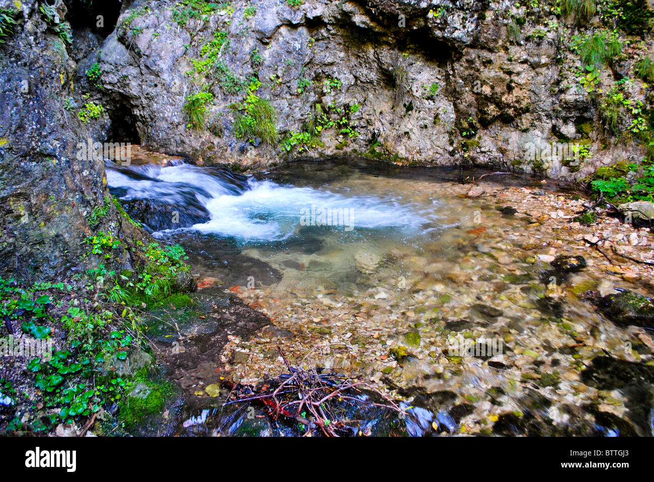 freshwater stream with small waterfall Stock Photo - Alamy