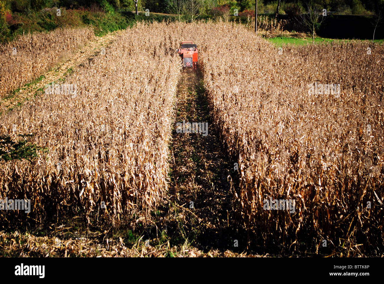 Agricultural thresher hi-res stock photography and images - Alamy