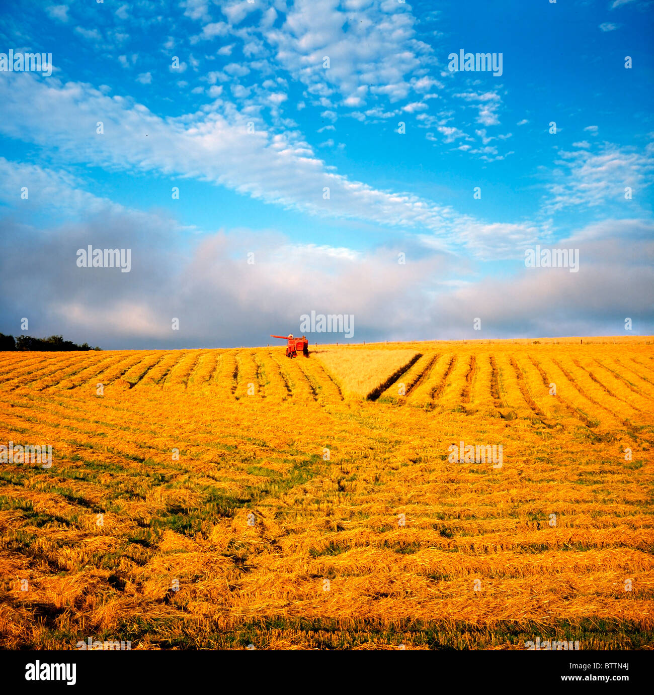 Harvesting harvests hi-res stock photography and images - Alamy