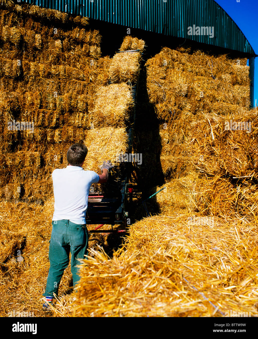 Man storing straw hi-res stock photography and images - Alamy