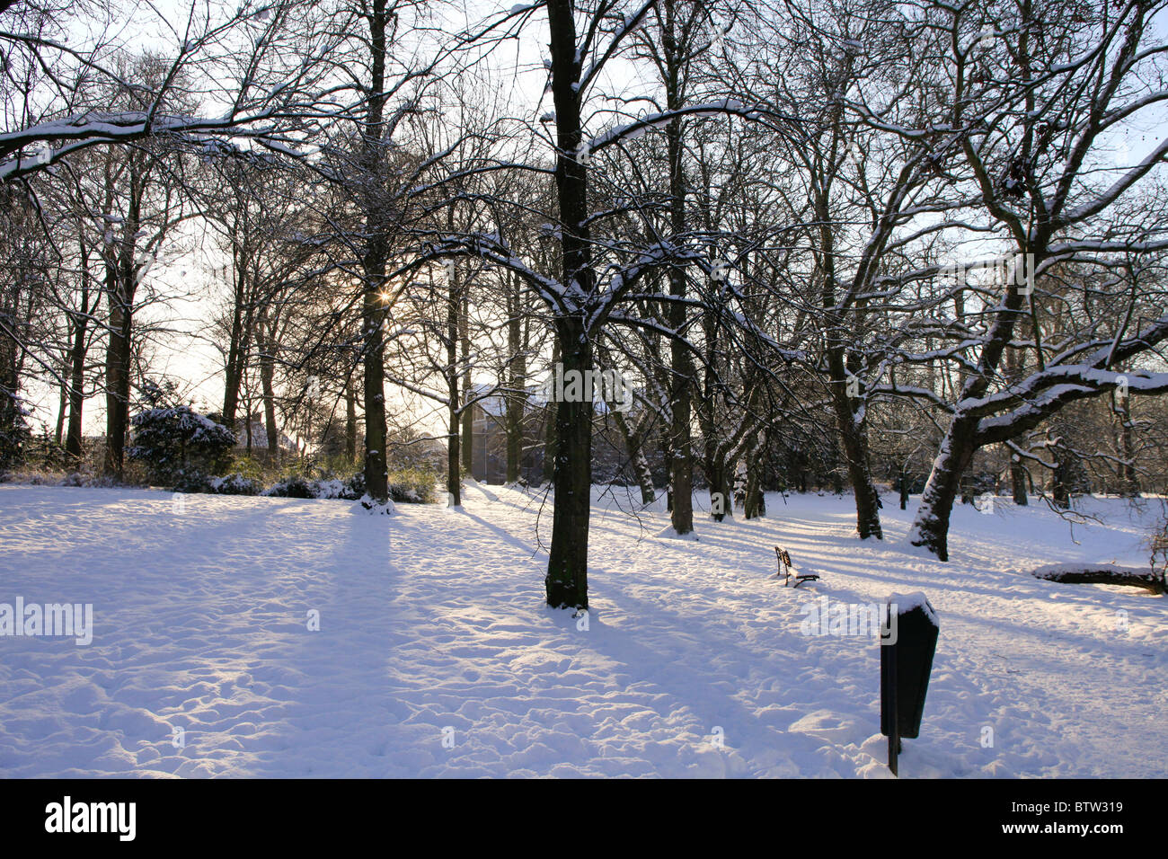 Shining winter park hi-res stock photography and images - Alamy