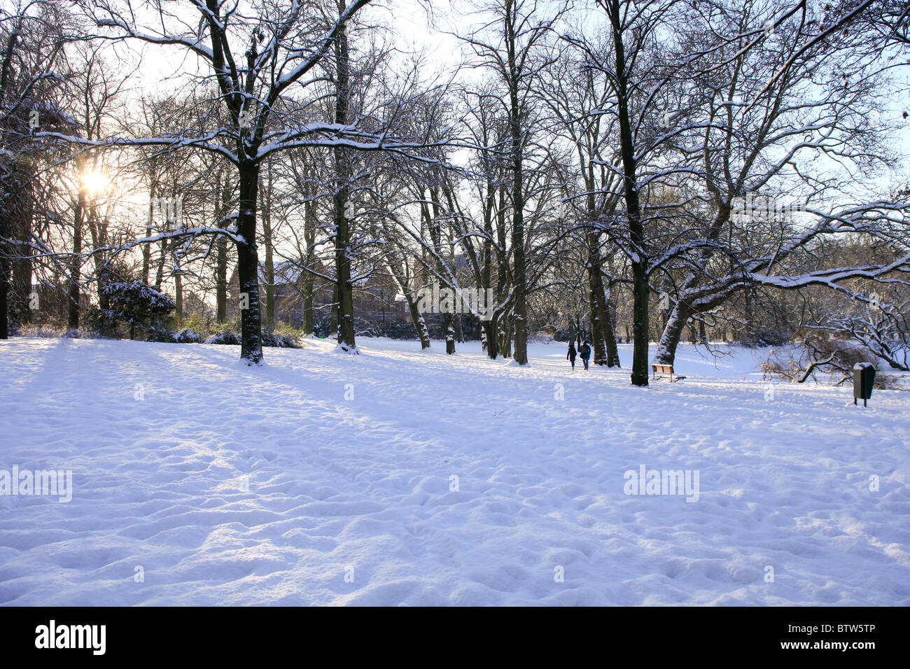 Snow om the woods Stock Photo - Alamy