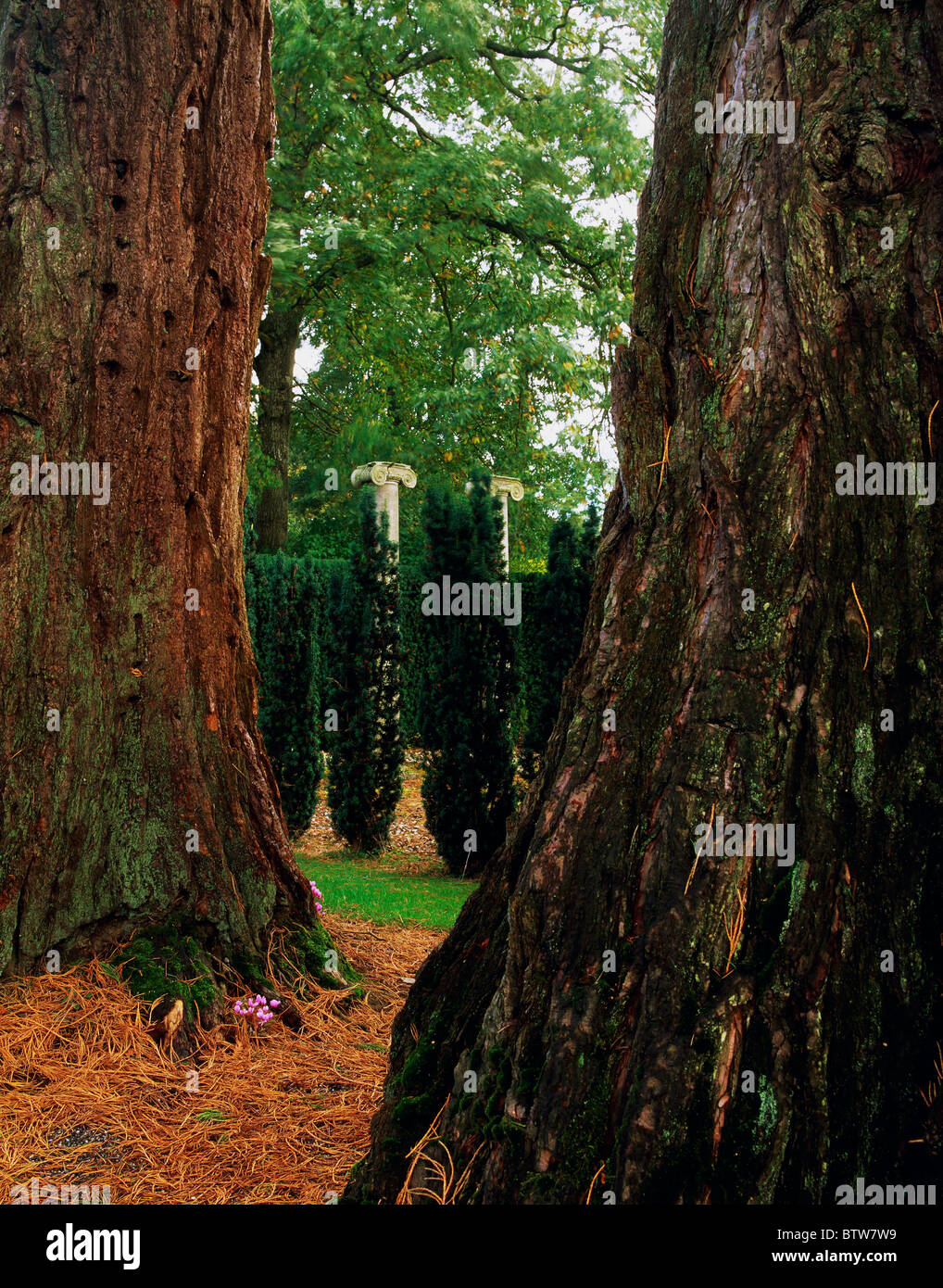 Doric columns hi-res stock photography and images - Alamy