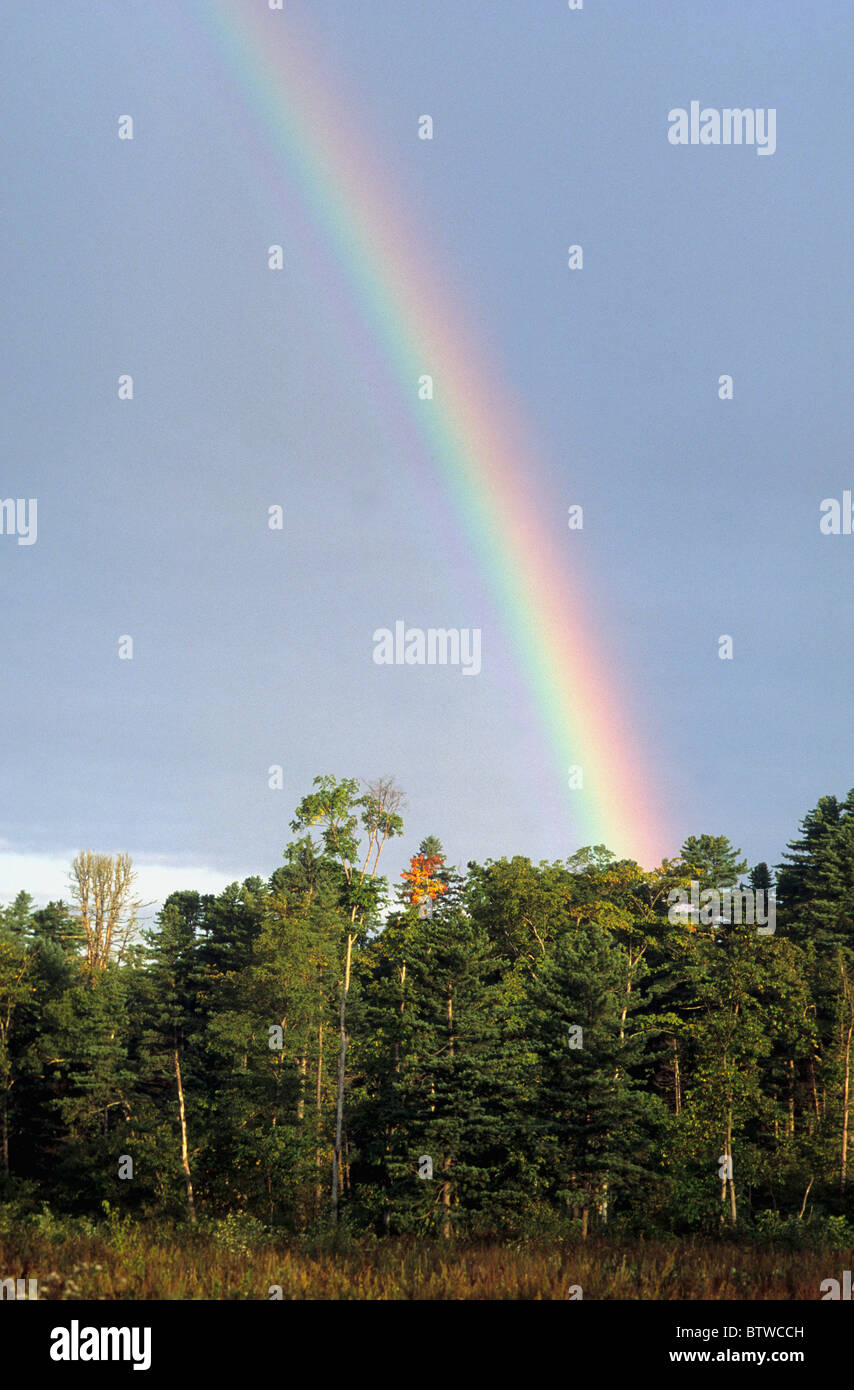 Russia, far east Bikin River, rainbow with deciduous forest, last ...