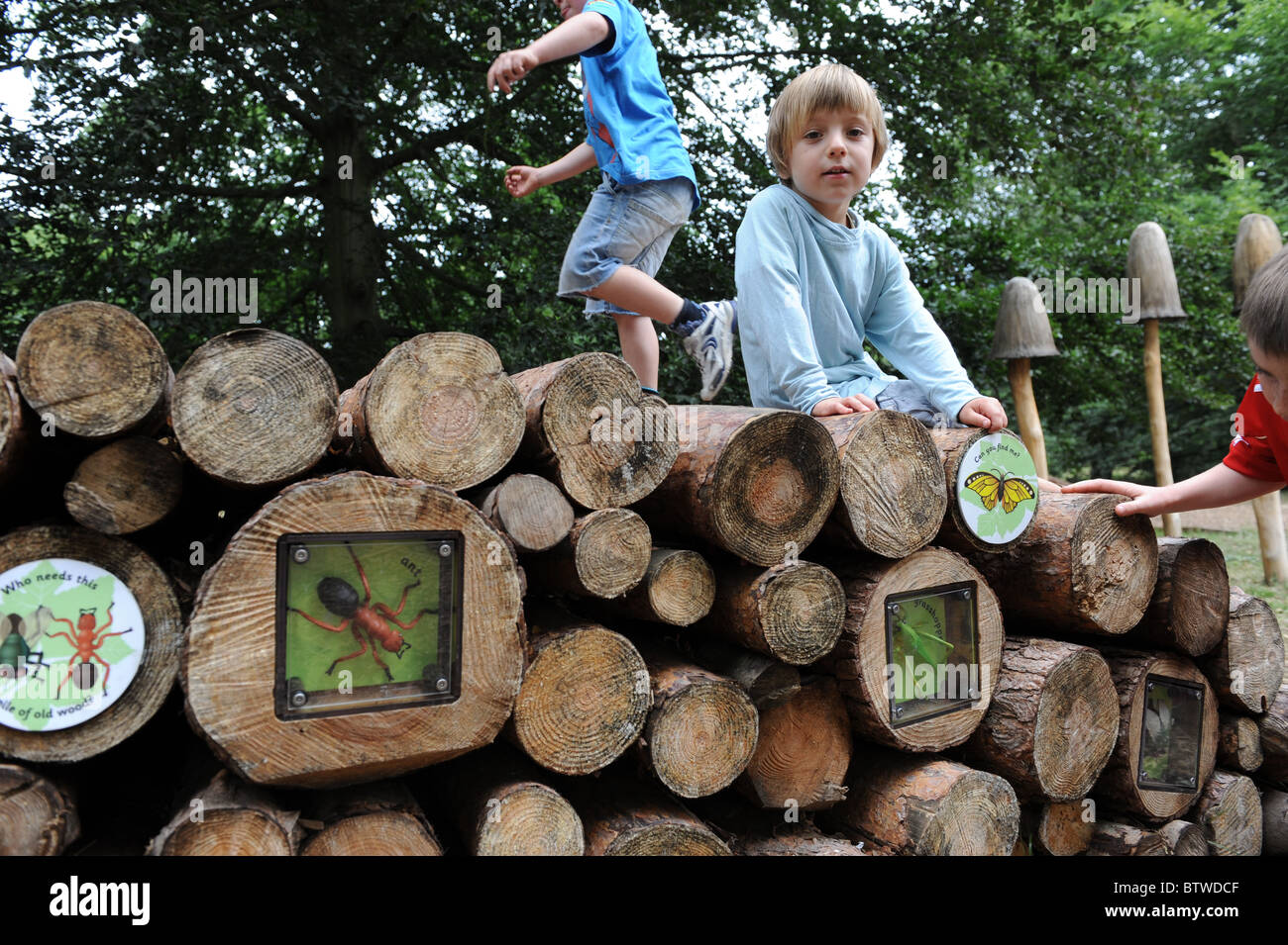 children playing on kew gardens log pile Stock Photo - Alamy