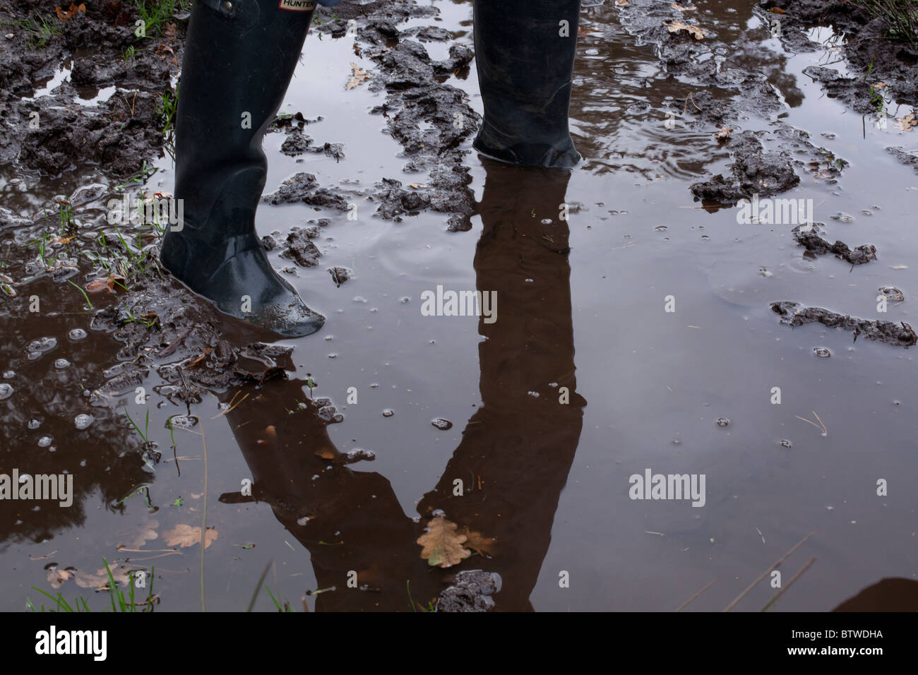 Adult walking in puddle Stock Photo - Alamy