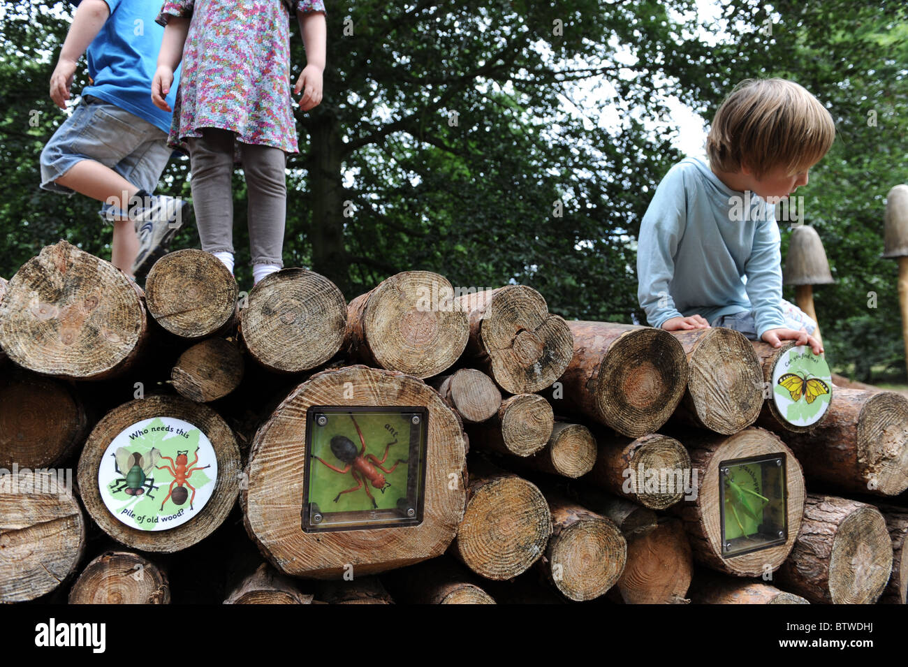 children playing on kew gardens log pile Stock Photo - Alamy