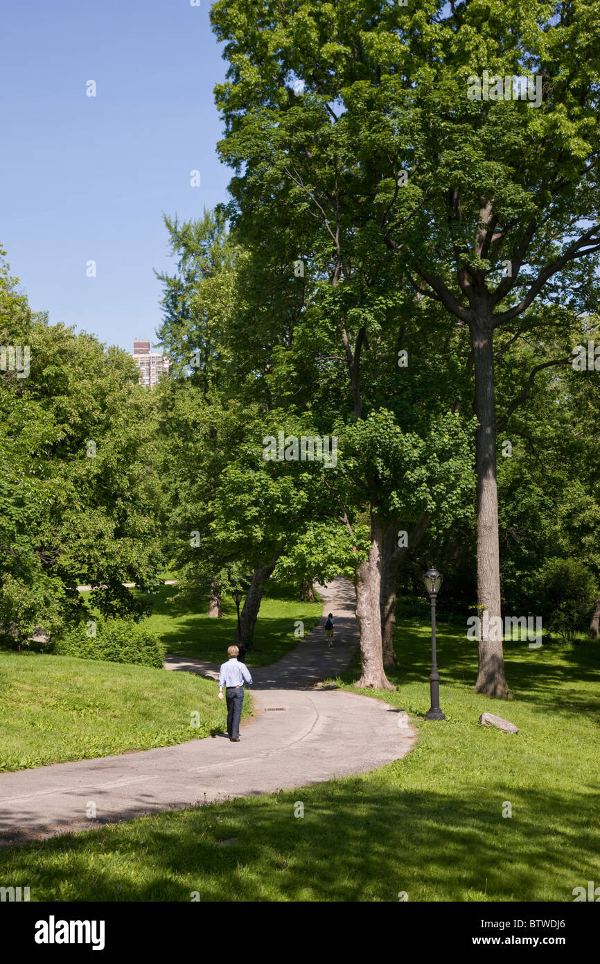 Pathway through mid park quadrant in Central Park Stock Photo - Alamy