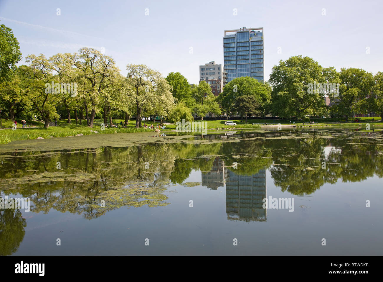 Harlem Meer in Central Park Stock Photo - Alamy