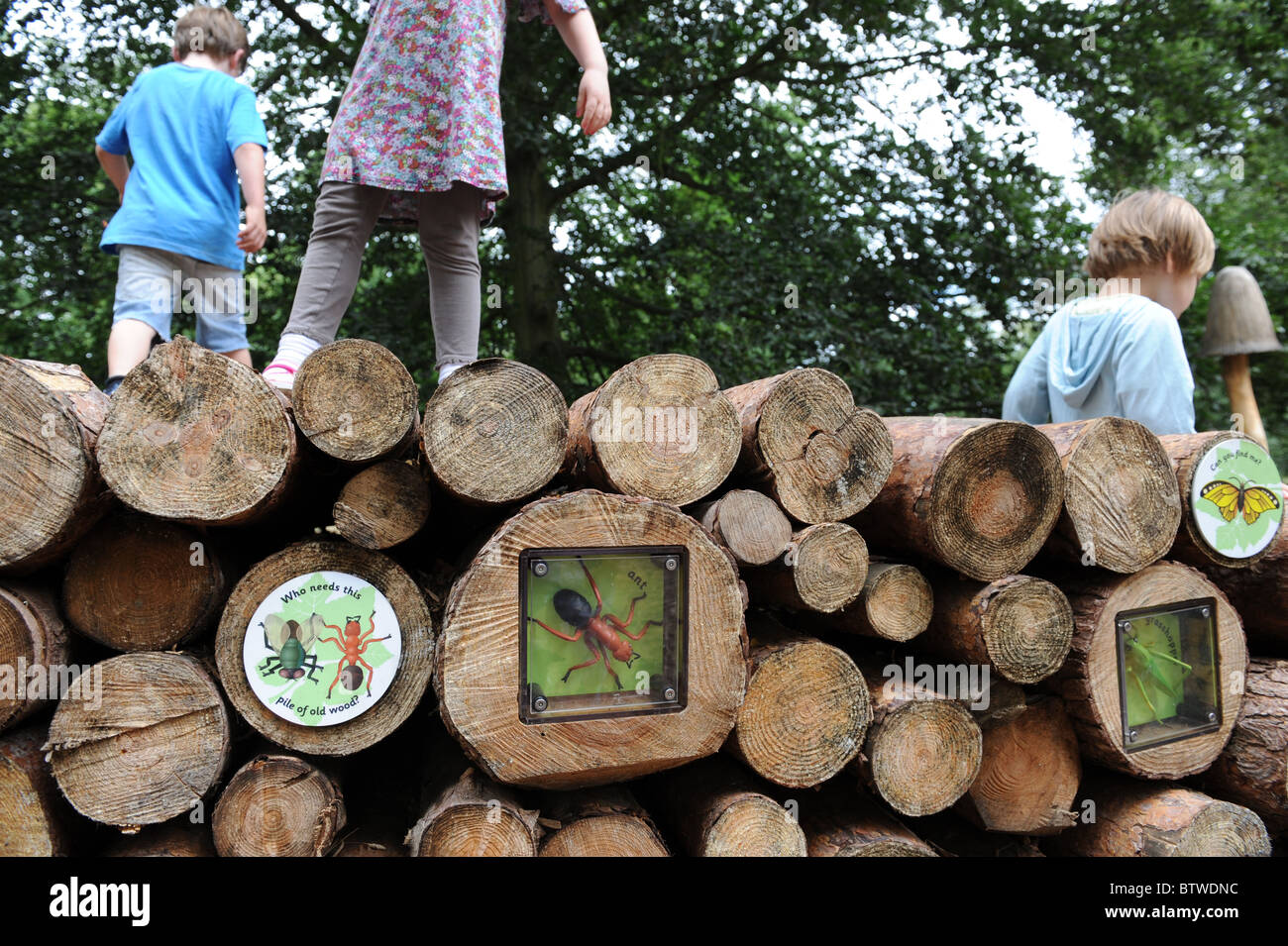 children playing on kew gardens log pile Stock Photo - Alamy