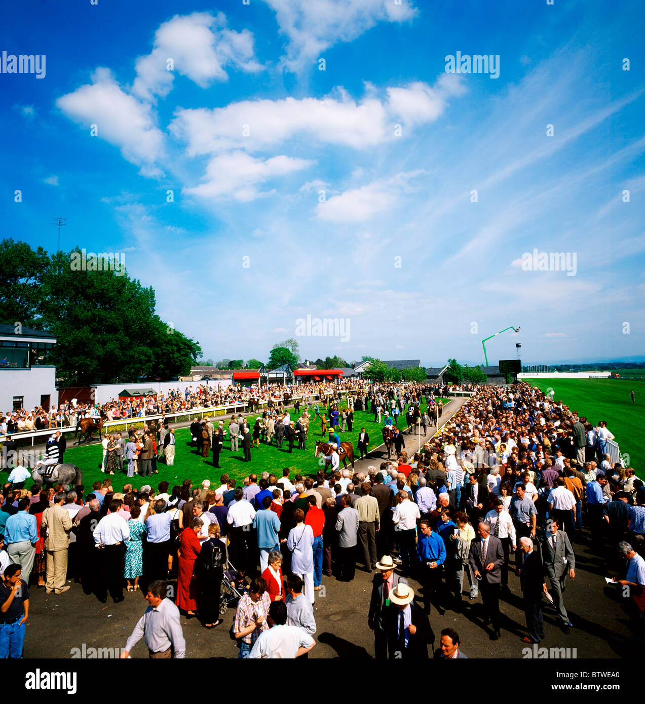 Curragh kildare hi-res stock photography and images - Alamy