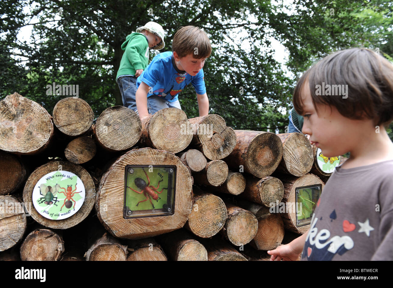 children playing on kew gardens log pile Stock Photo - Alamy