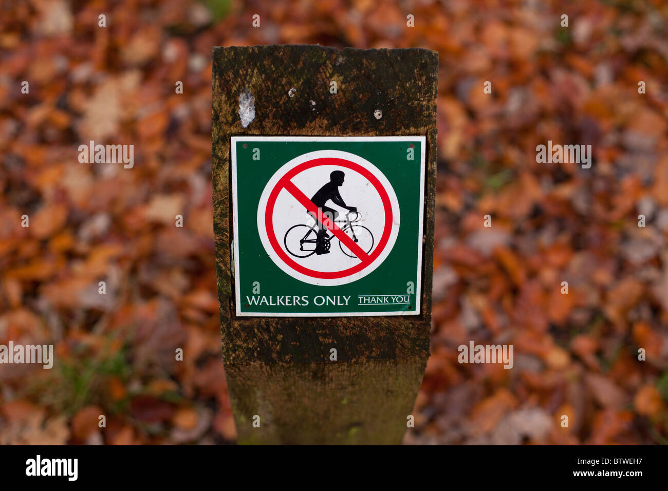 walkers only sign in forest Stock Photo - Alamy
