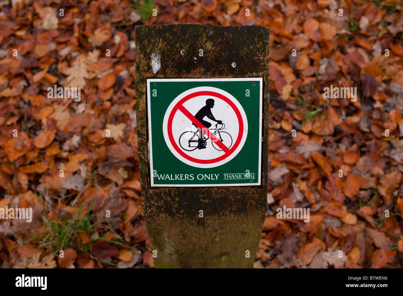 Walkers only sign in woodland Stock Photo - Alamy