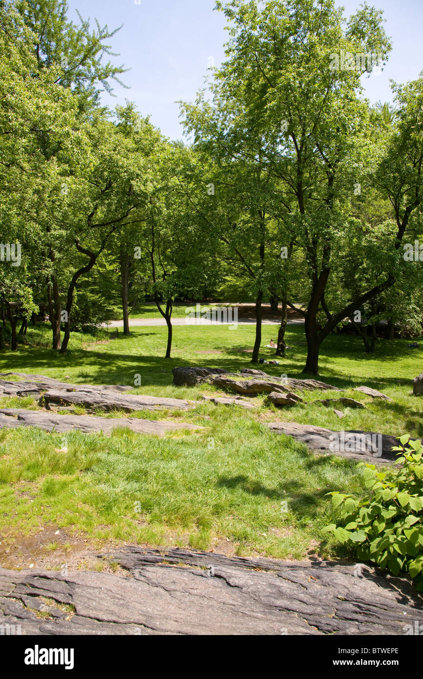 Summit Rock Central Park