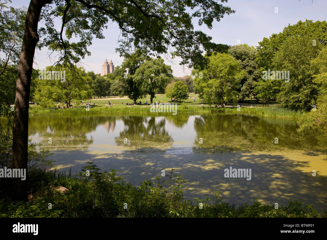 Turtle Pond at Mid Park Quadrant in Central Park Stock Photo - Alamy
