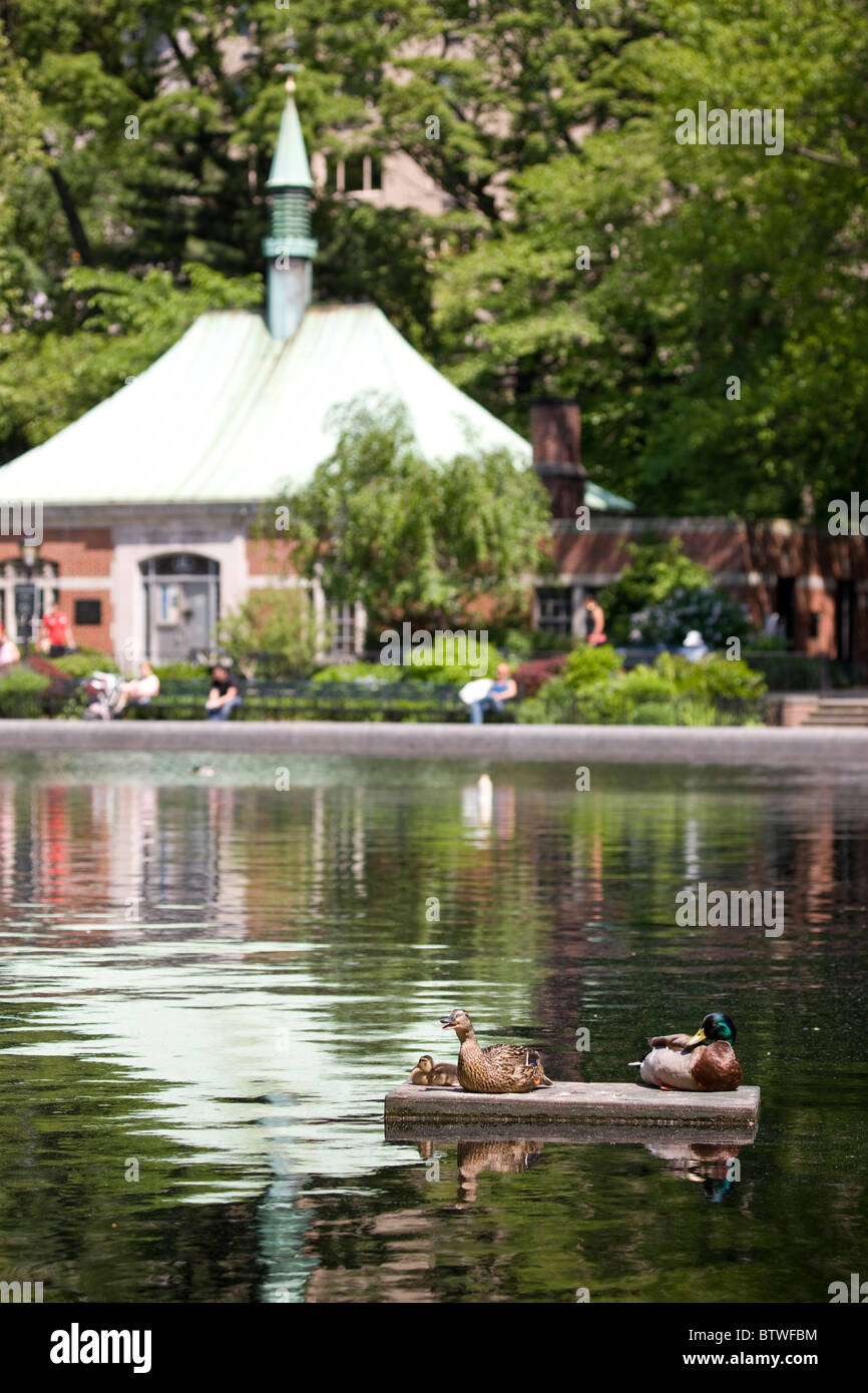 Conservatory Water at Mid Park Quadrant in Central Park Stock Photo - Alamy