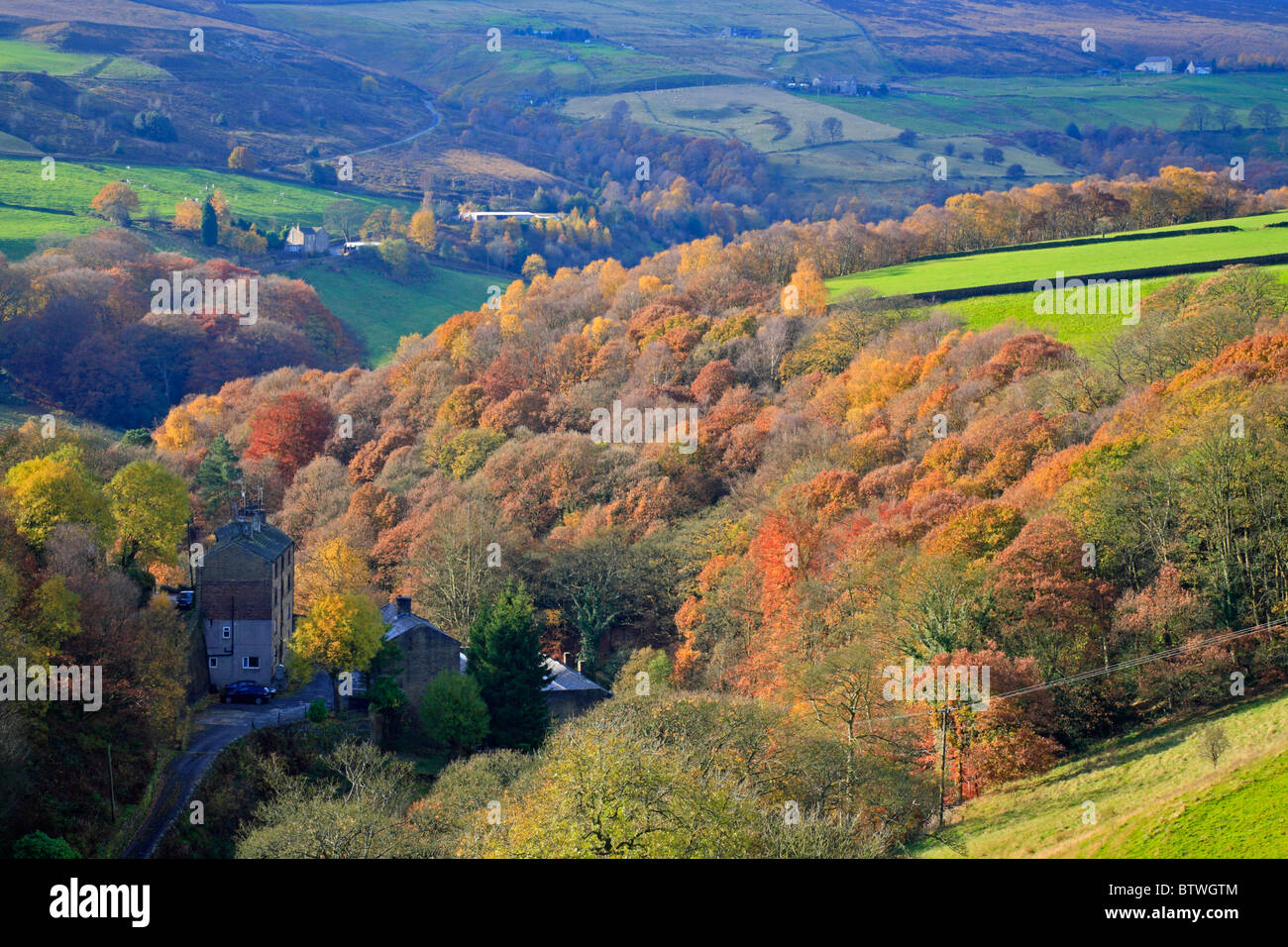 Wade Wood in Autumn, Luddenden Dean, Halifax, West Yorkshire, England ...