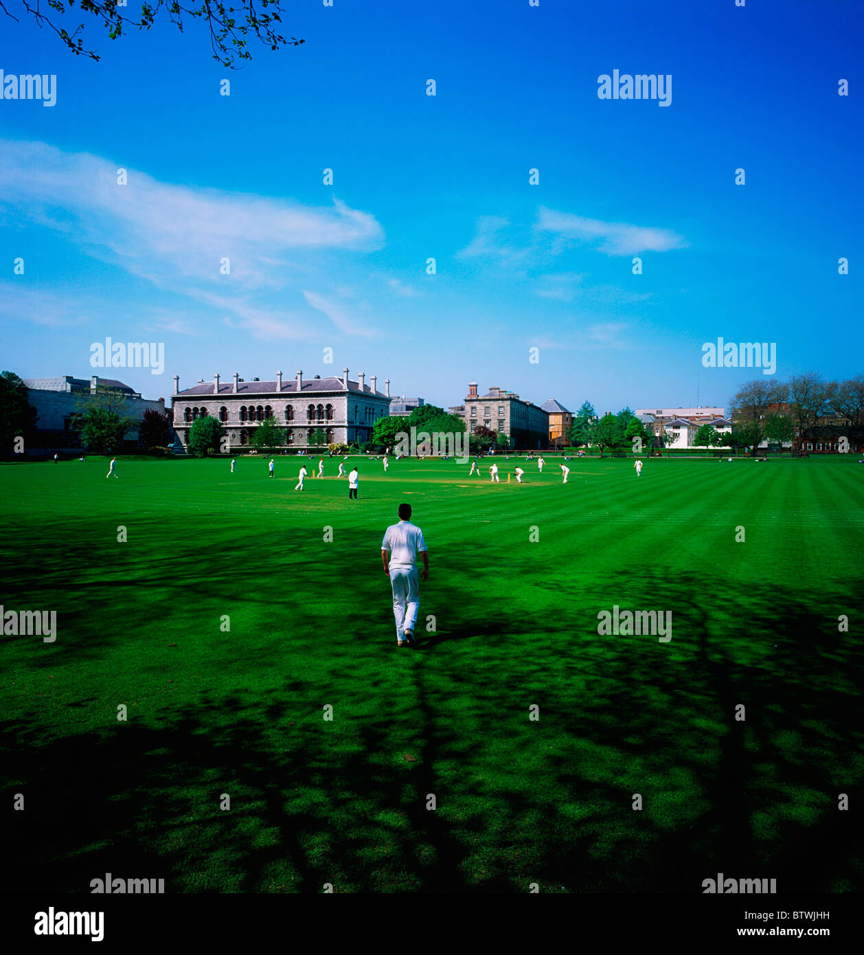 Cricket, Trinity College, Dublin, Co Dublin, Ireland Stock Photo - Alamy