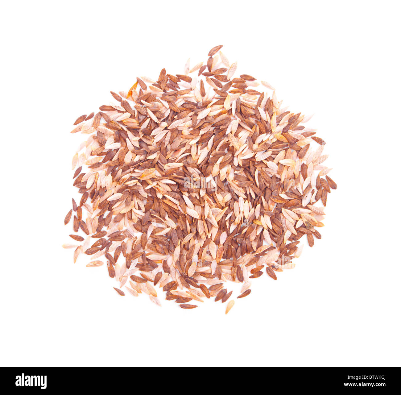 Small pile of seeds isolated on white background Stock Photo - Alamy