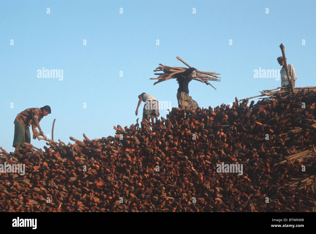 BANGLADESH WORKERS IN A TIMBERYARD IN DHAKA Stock Photo - Alamy