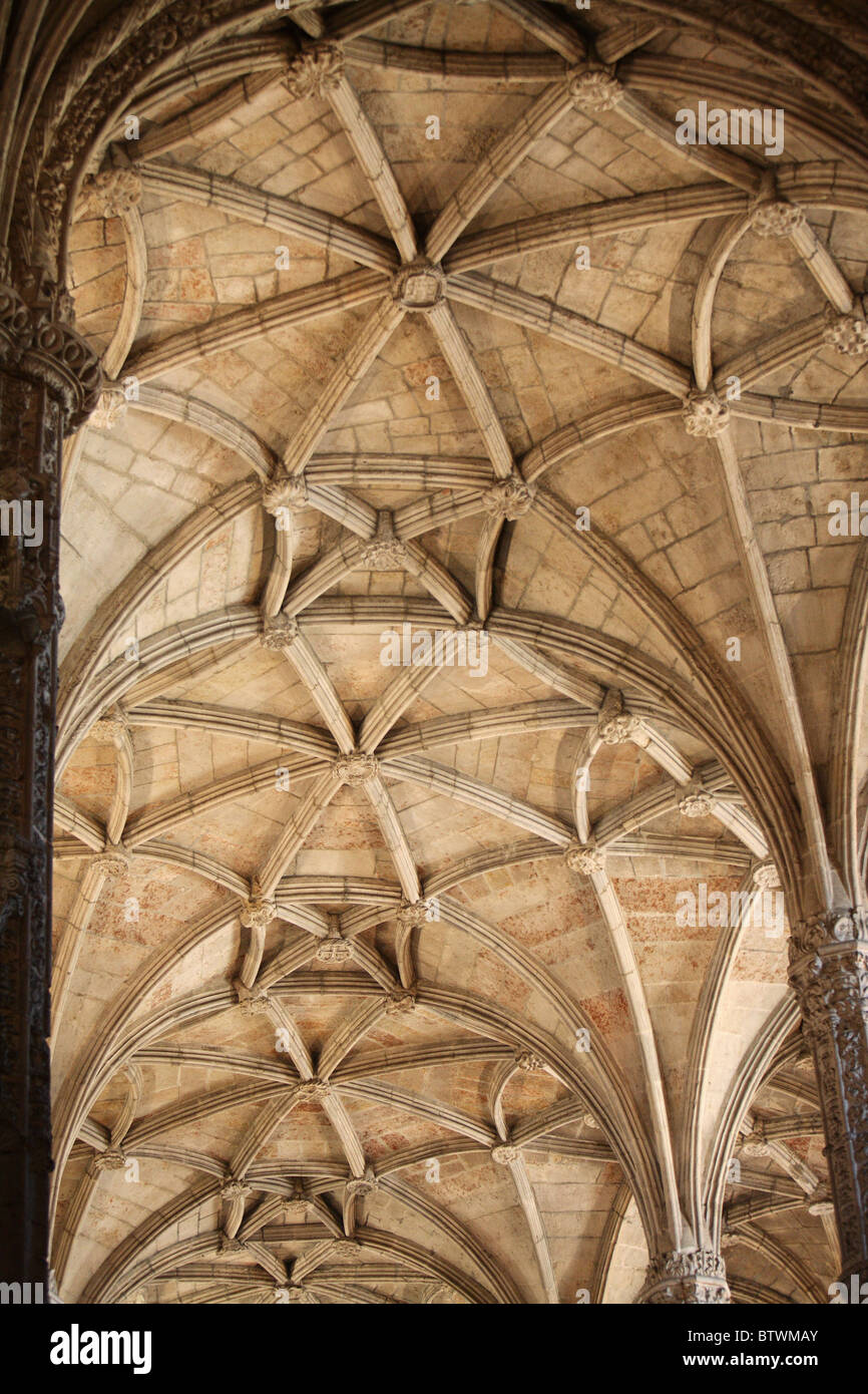 Rib structure hi-res stock photography and images - Alamy