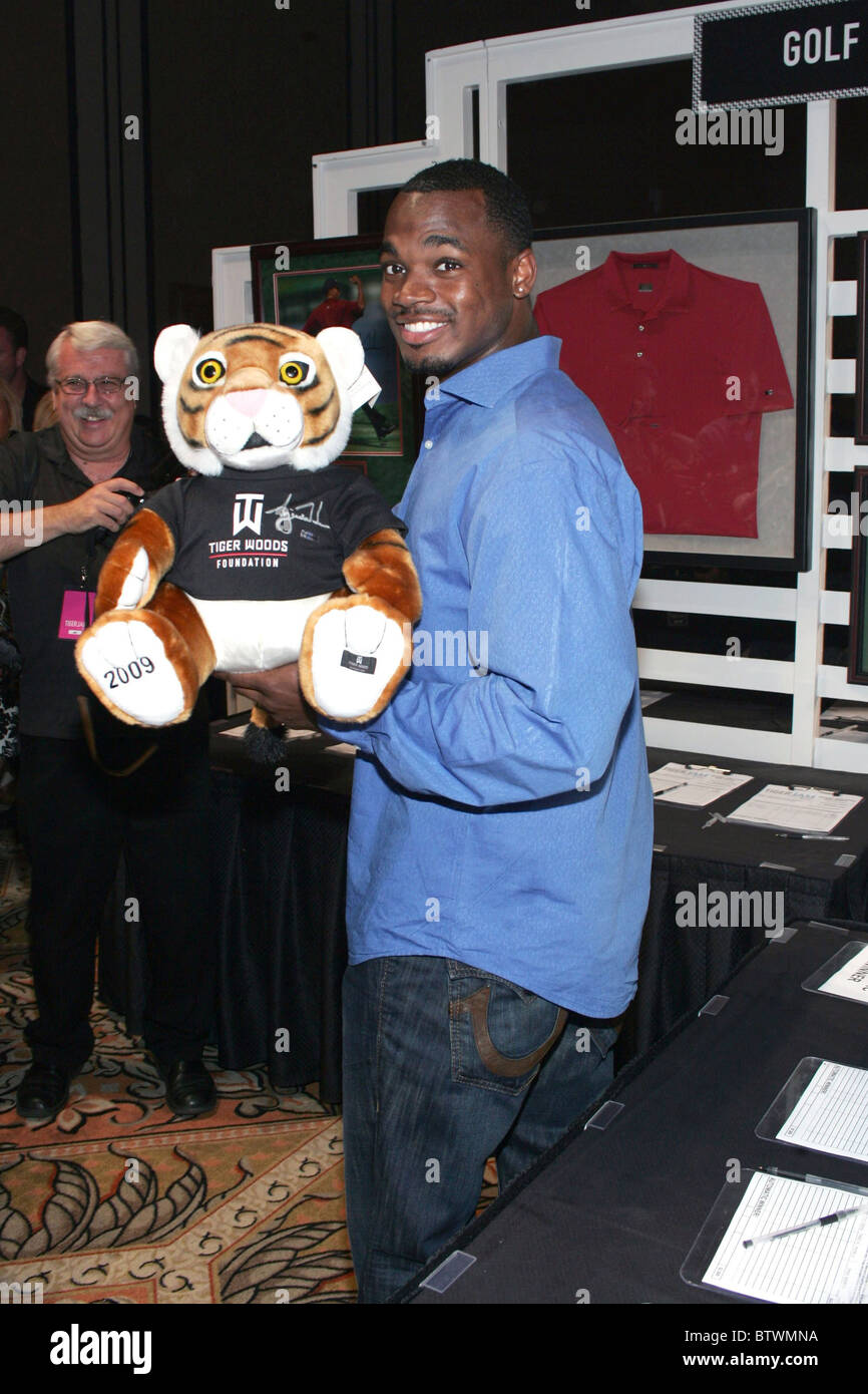 Tiger Jam XII Stock Photo - Alamy