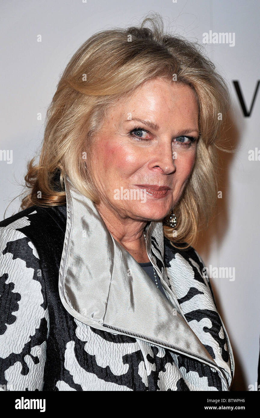 The Whitney Museum of American Art Gala and Studio Party Stock Photo ...
