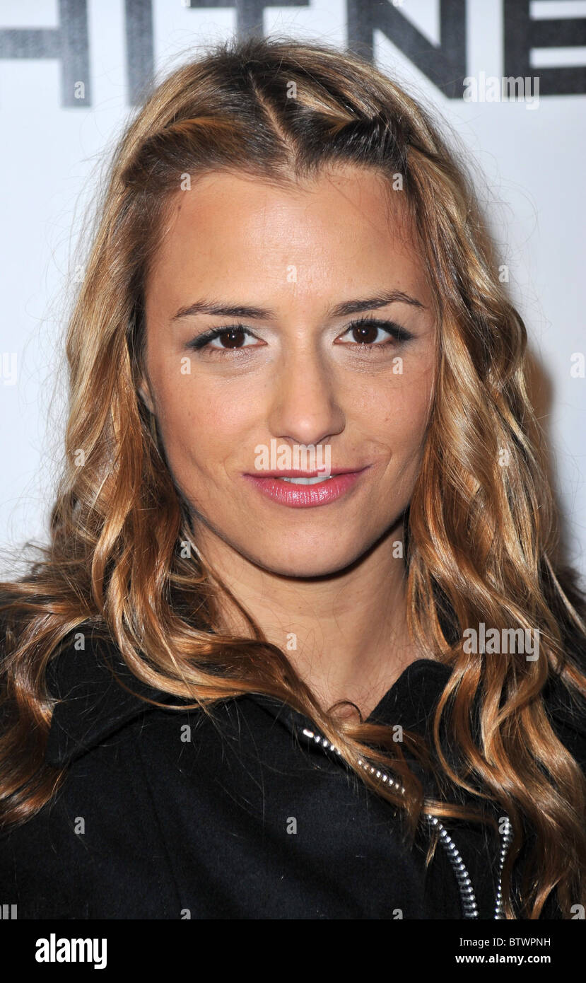 The Whitney Museum of American Art Gala and Studio Party Stock Photo ...