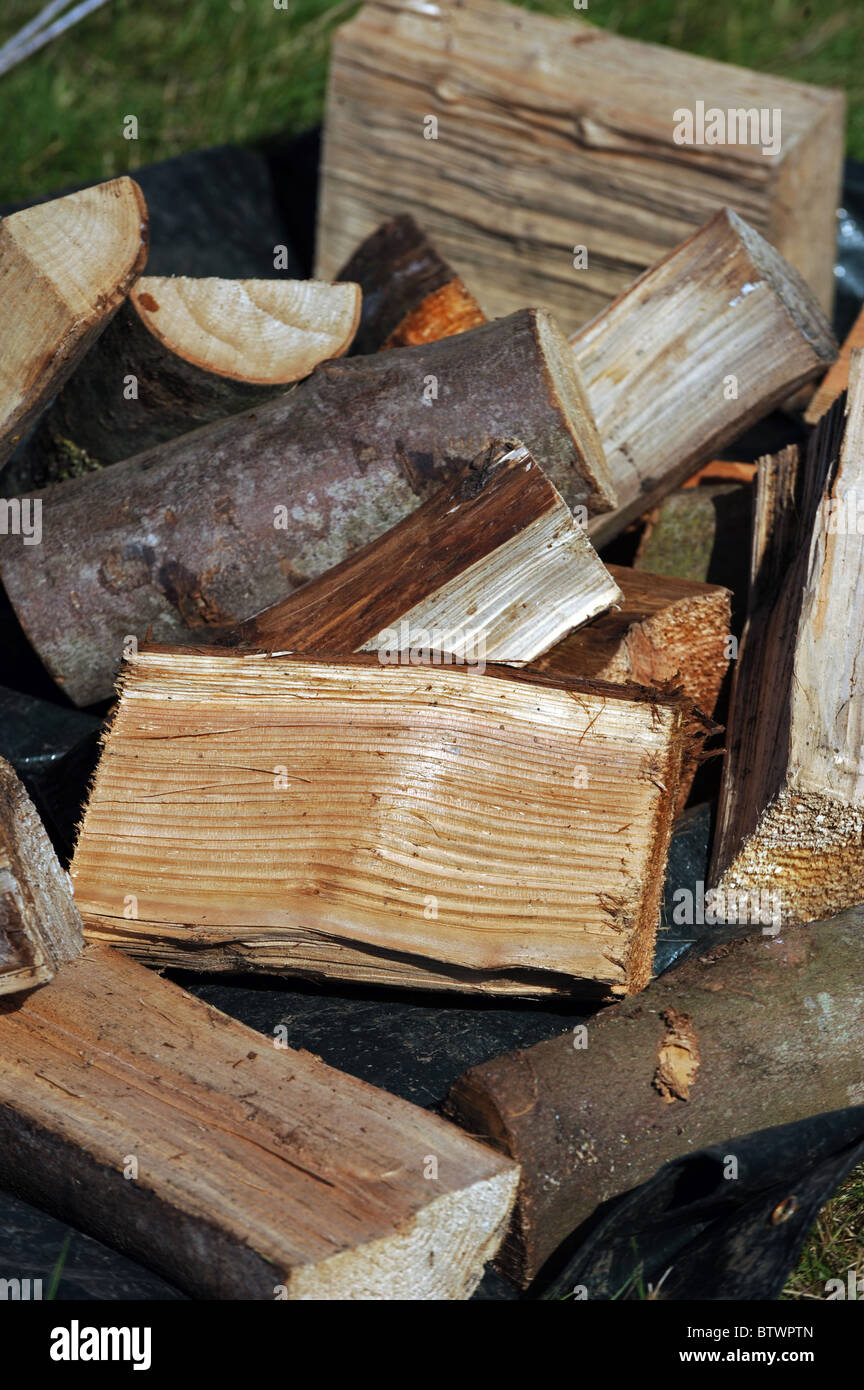 A pile of chopped logs ready for the campfire Stock Photo - Alamy