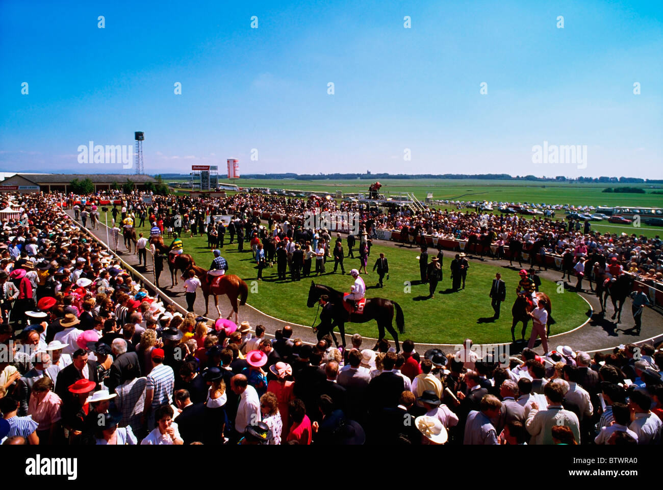 Spectator crowded competition sport standing horse racecourse hi-res ...