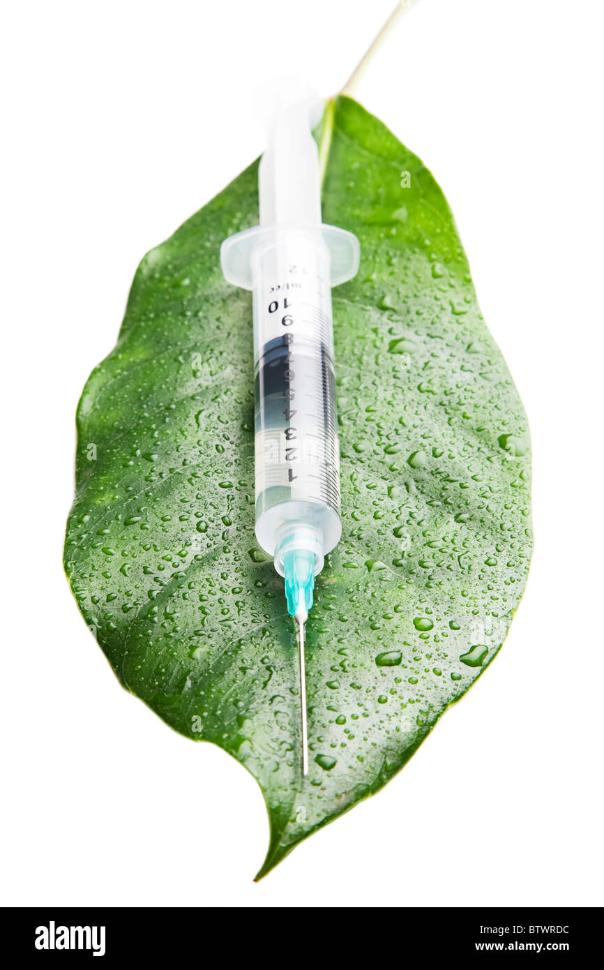 syringe on a leaf Stock Photo - Alamy