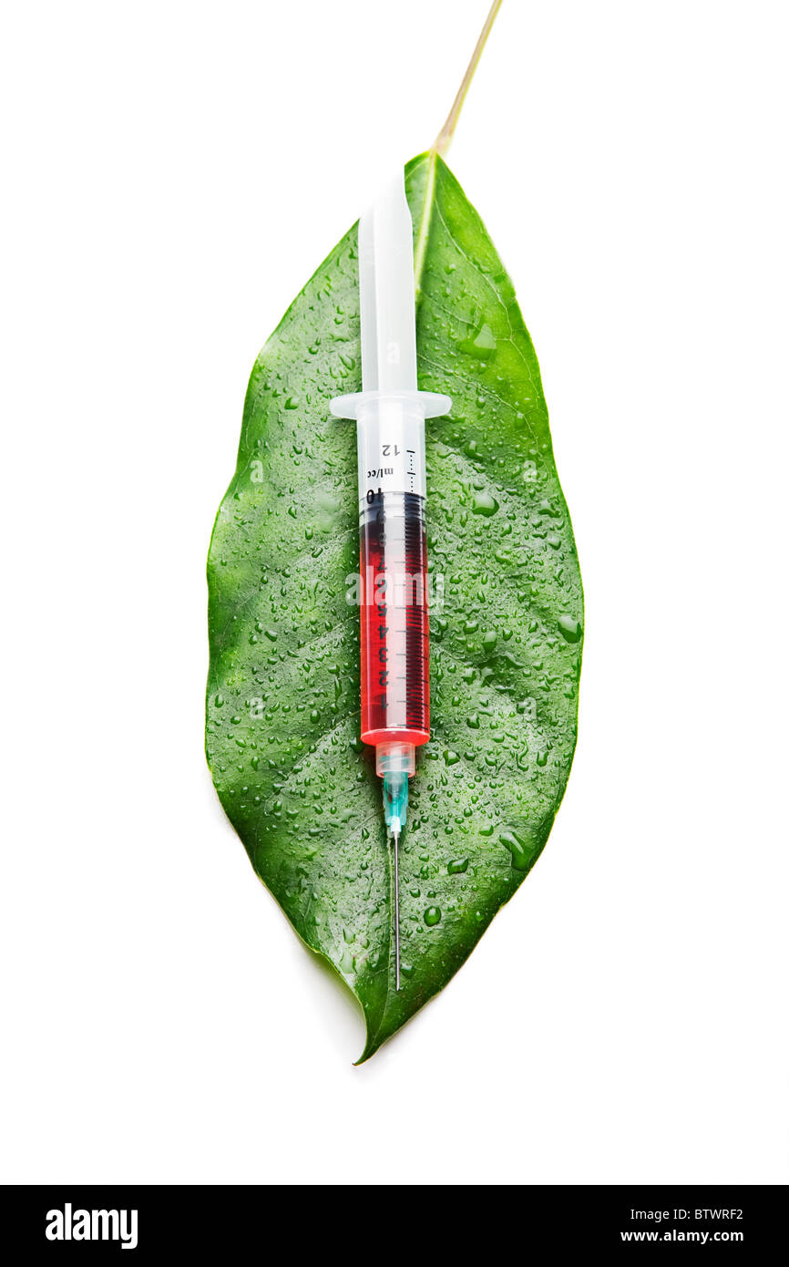 syringe with blood on a leaf Stock Photo - Alamy