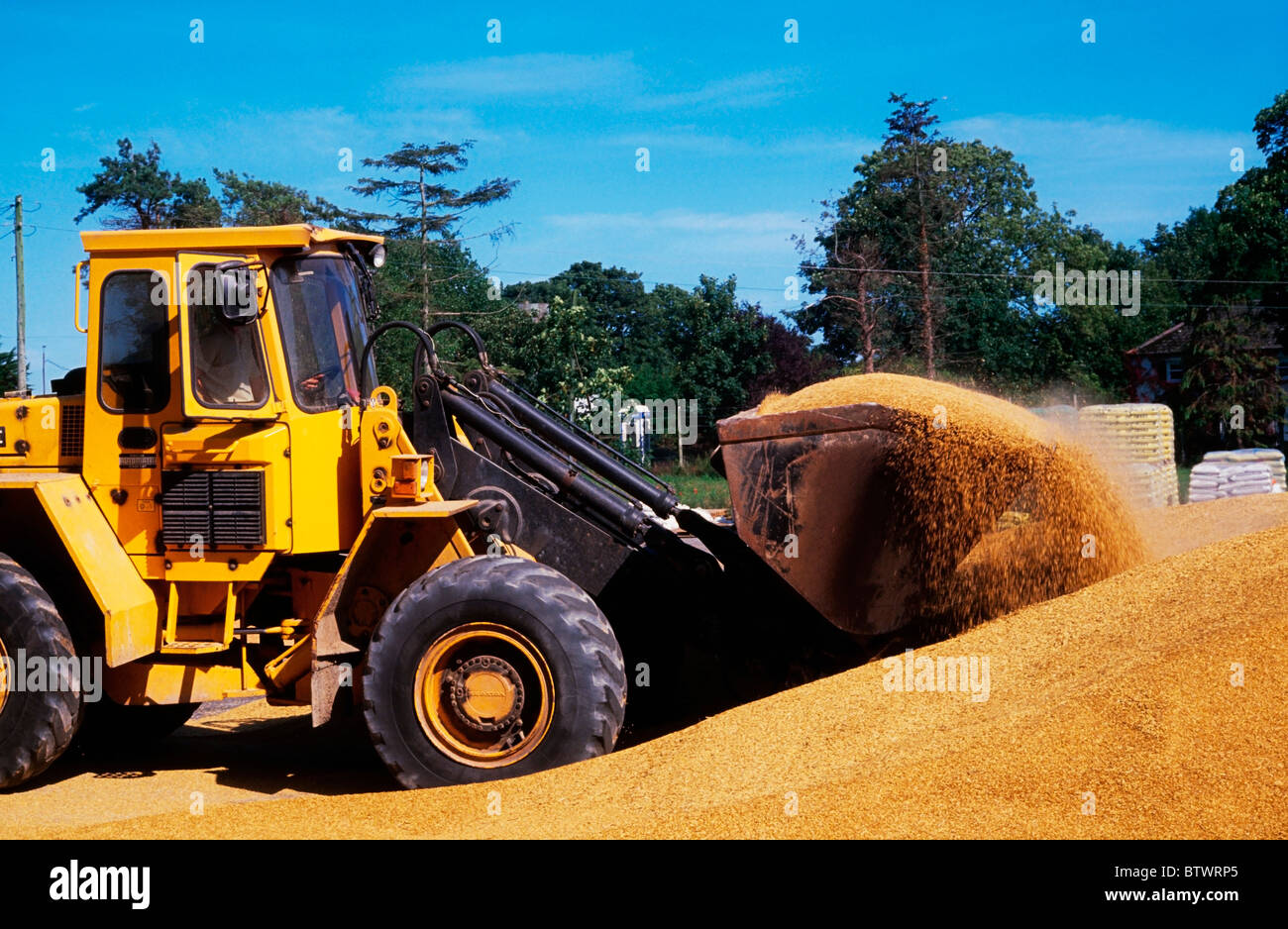 Grain Storage, Co Kildare, Ireland; Food Processing Stock Photo - Alamy
