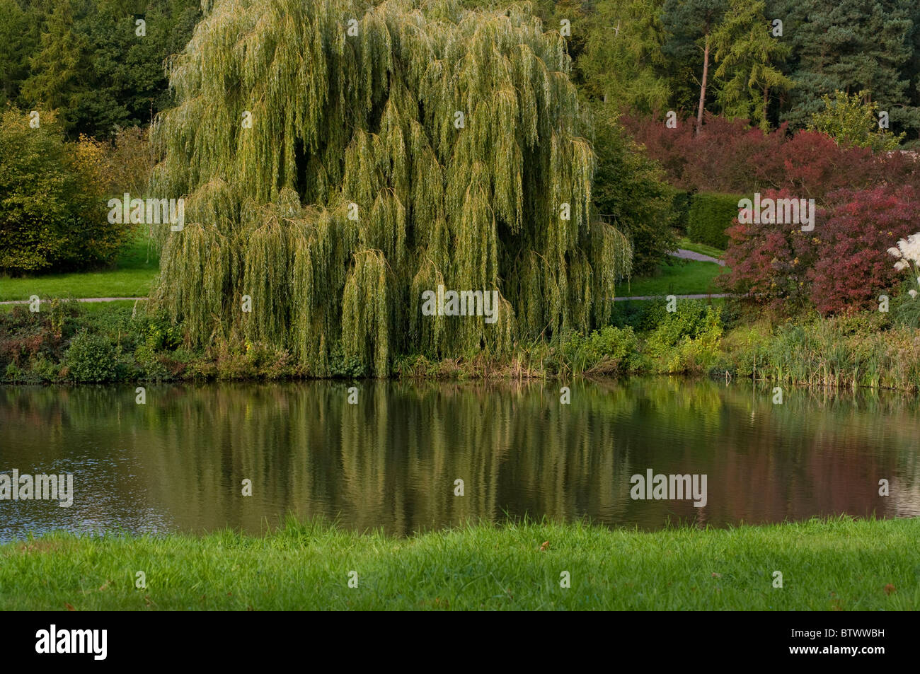 English Autumn Scene Stock Photo - Alamy