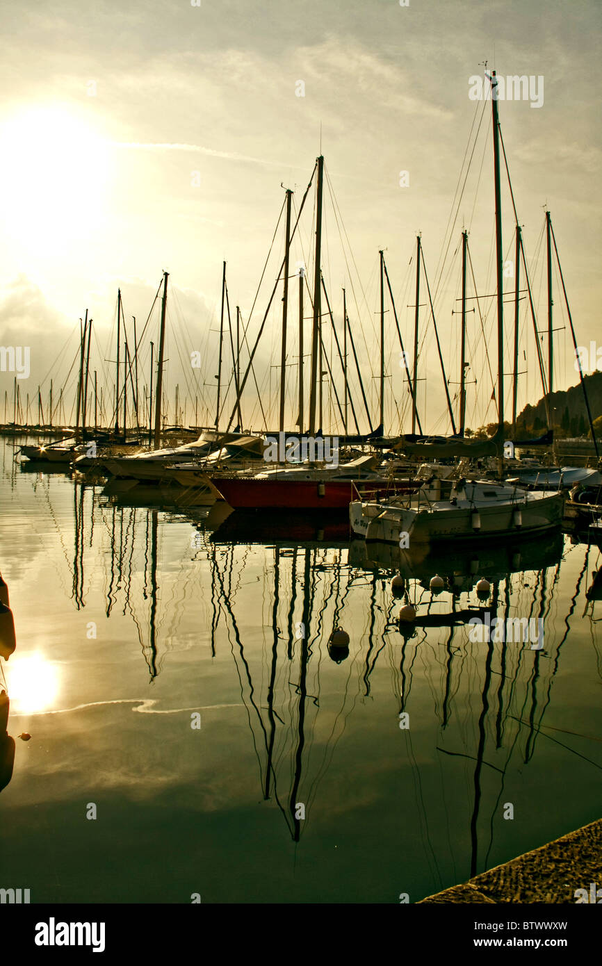 Back light of sailing boats in harbor Stock Photo - Alamy