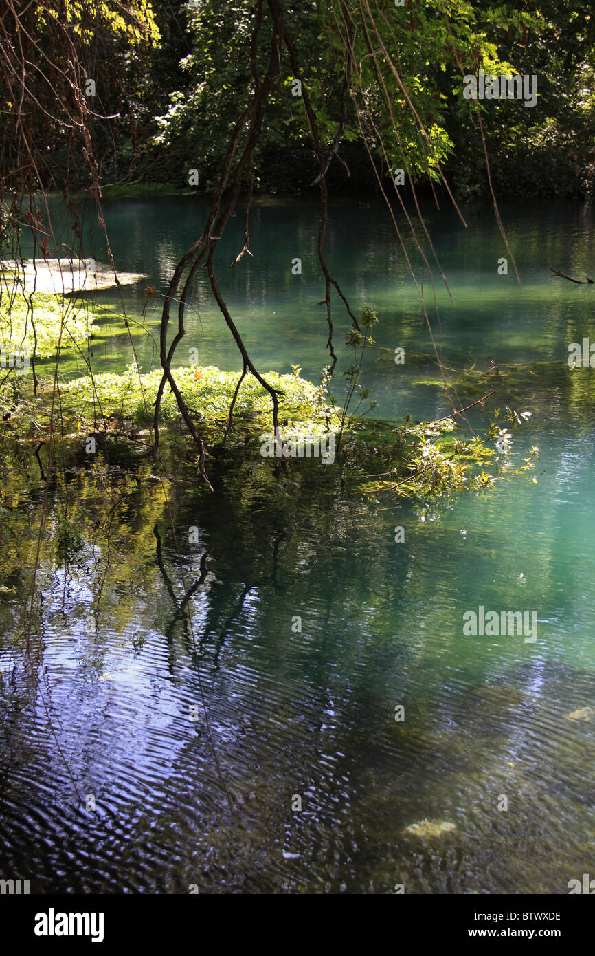 Timavo springs, a violet pond Stock Photo - Alamy