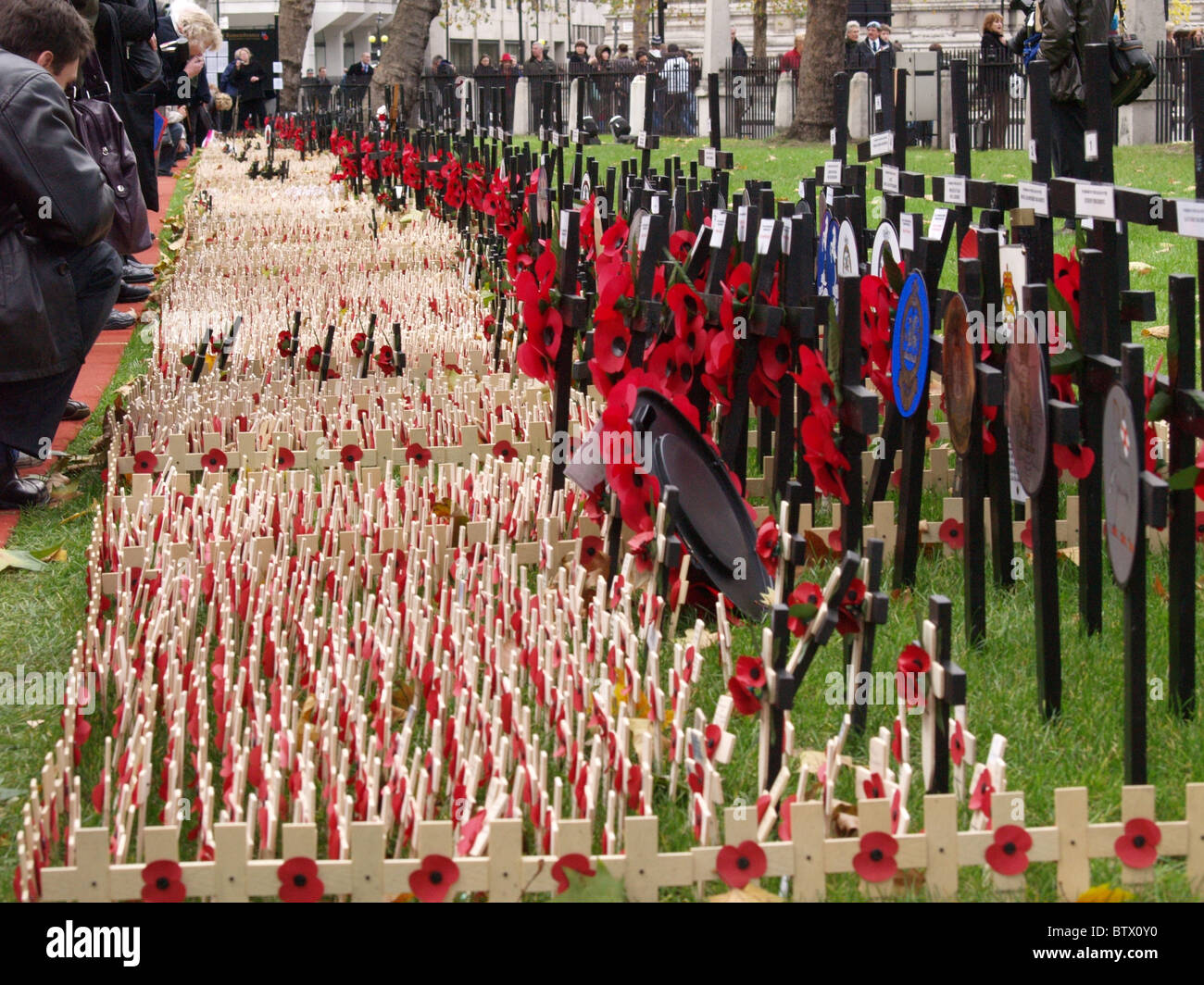 Field of Remembrance Stock Photo - Alamy