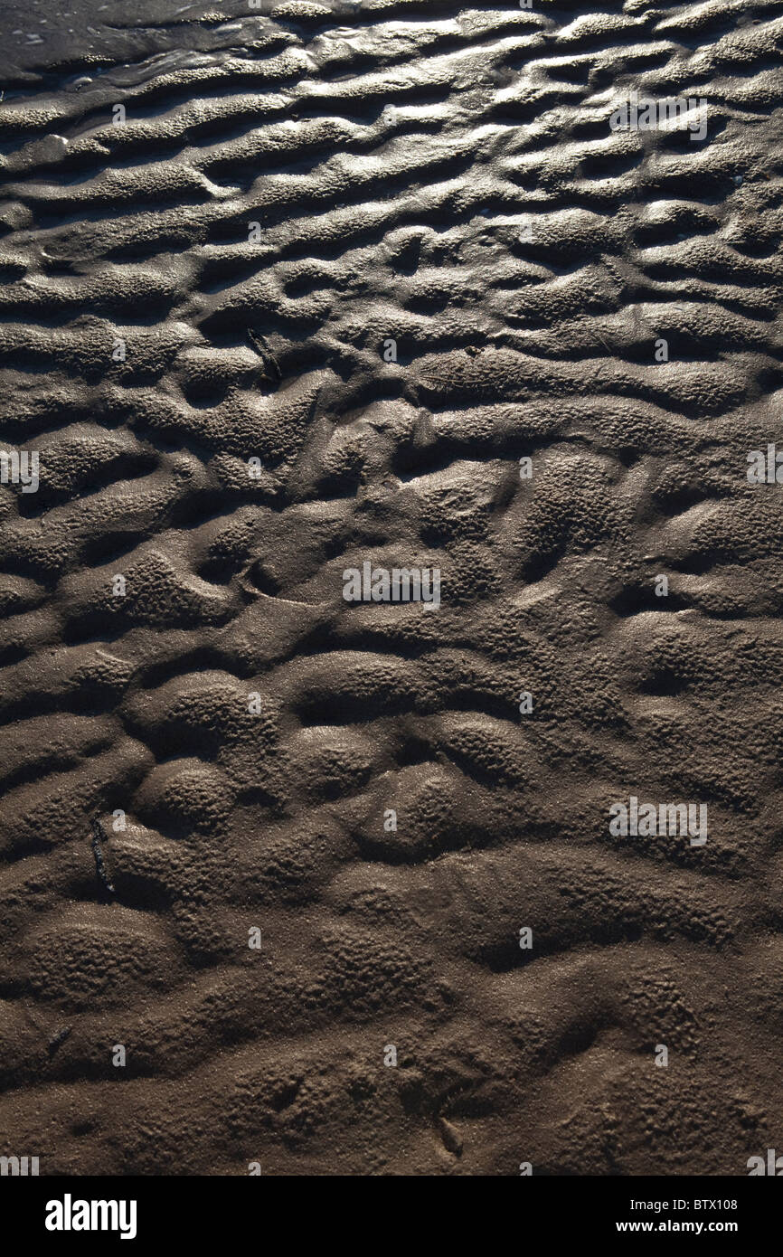 Ripples in sand on beach after tide has gone out Stock Photo - Alamy