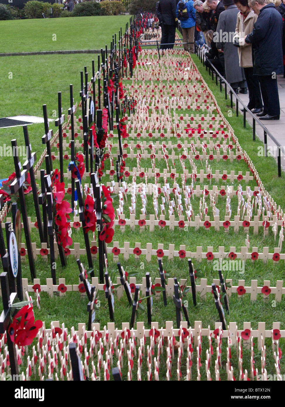 Field of Remembrance Stock Photo - Alamy