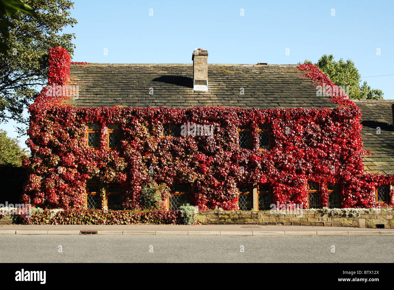 Ivy Covered Cottage Stock Photo - Alamy