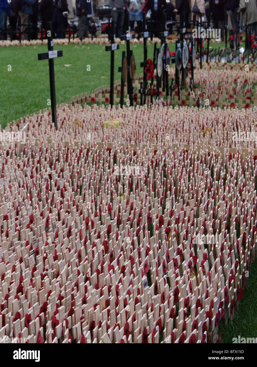 Remembrance Day Poppies Stock Photo - Alamy