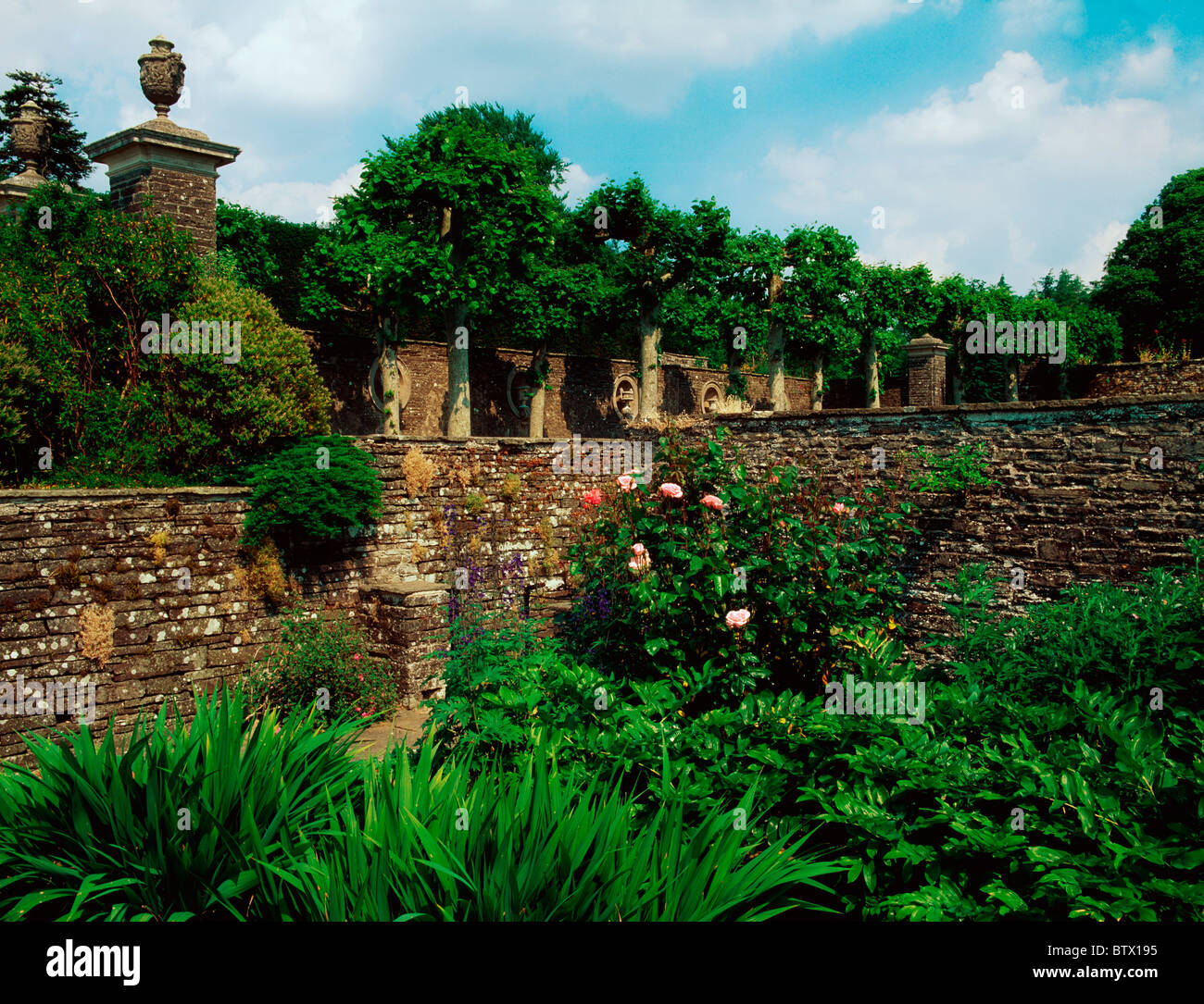 Heywood Gardens, Co Laois, Ireland, Pleached Lime Alley, Edwin Lutyens ...