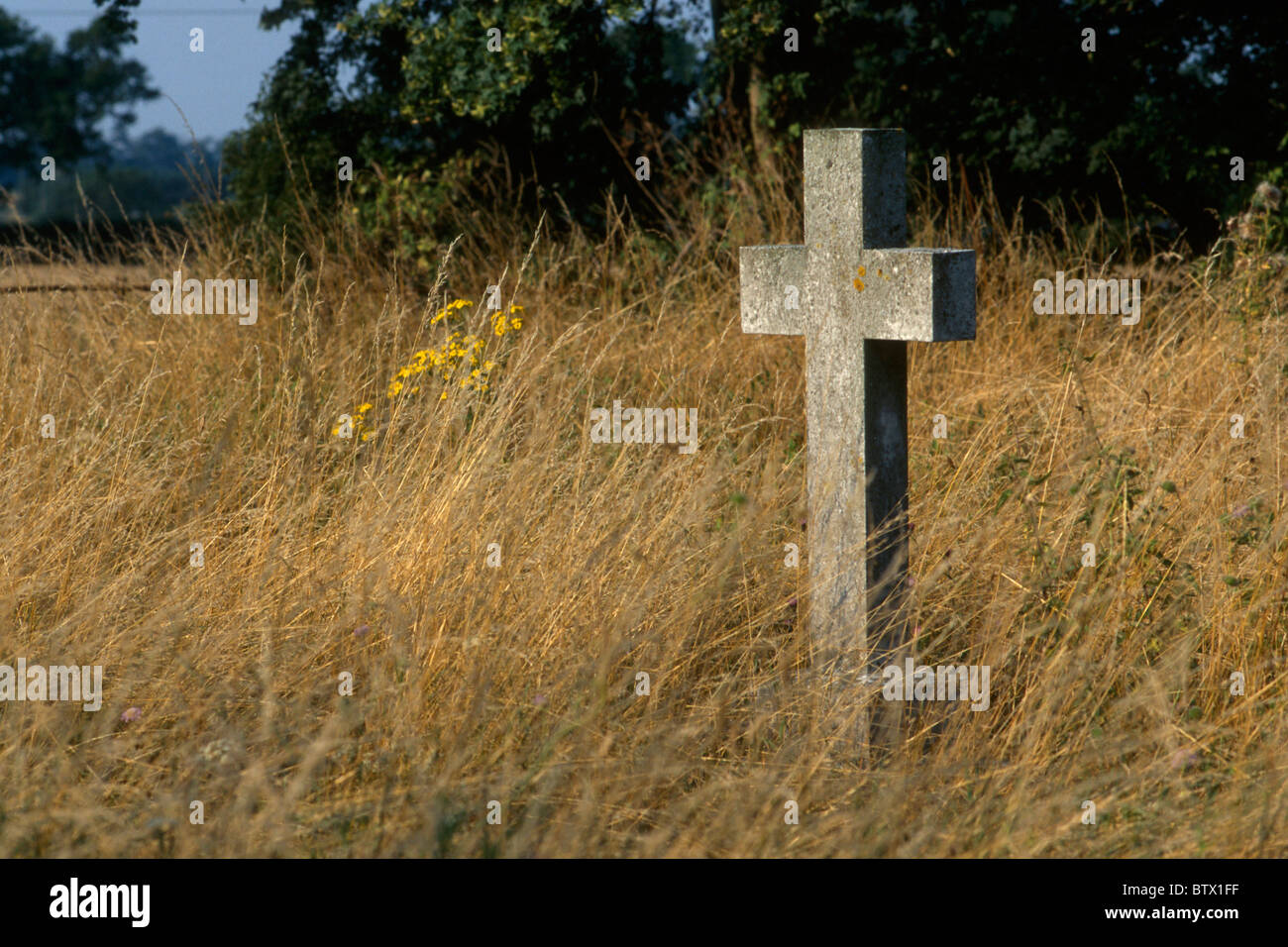 A Single Stone Cross in Tall Grass Stock Photo - Alamy