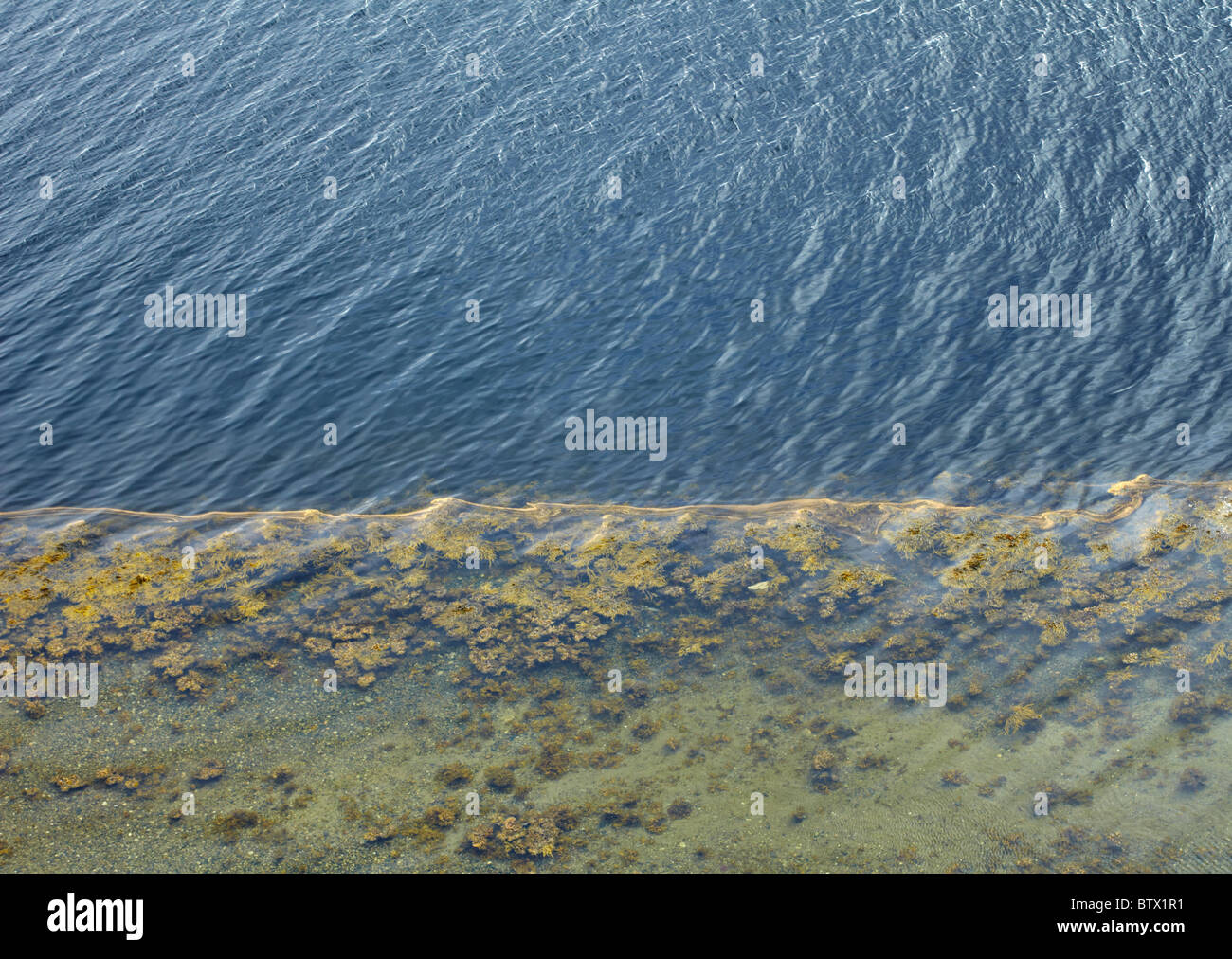 Coastal line of northern sea in outflow - the top view Stock Photo - Alamy