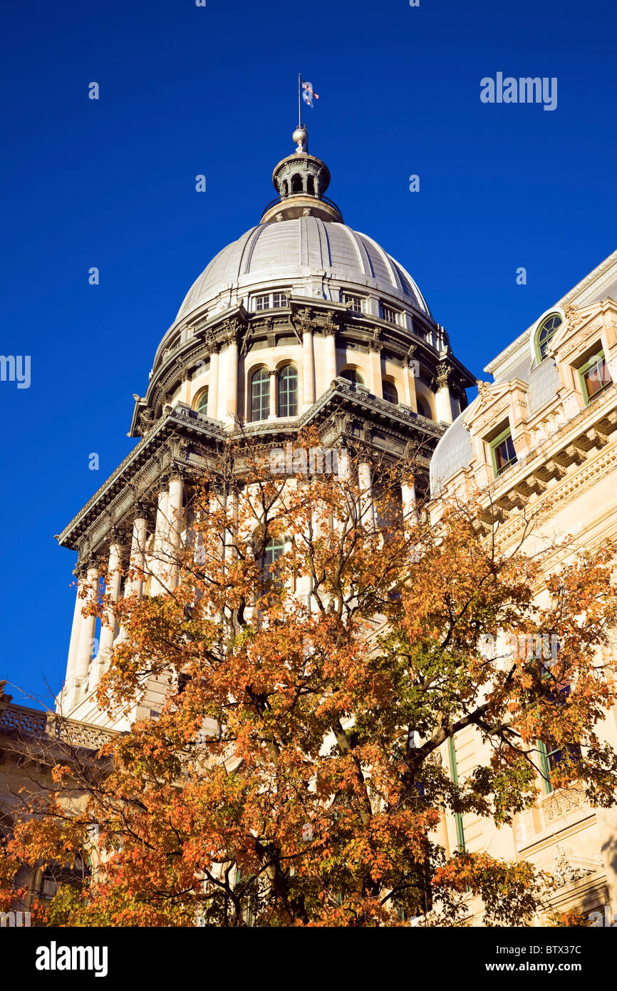 Springfield, Illinois - fall by State Capitol Stock Photo - Alamy