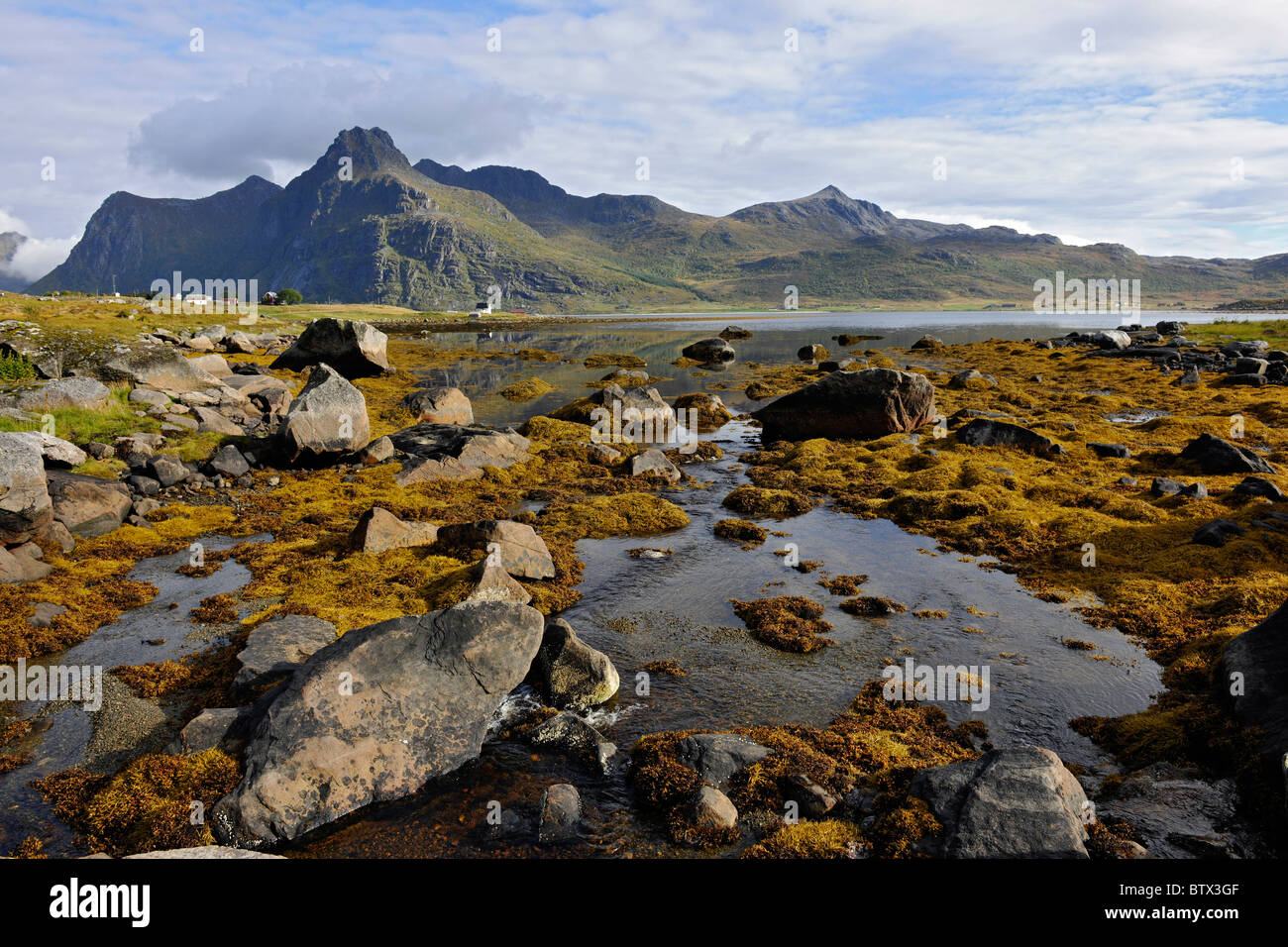 Low tide, fjord landscape in Lofoten islands, North Norway Stock Photo ...