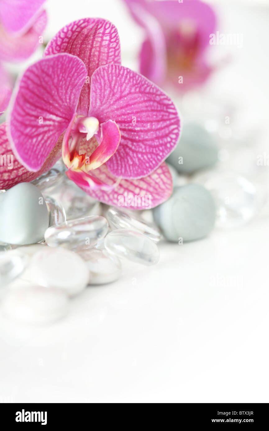 Zen stone and orchid flowers hi-res stock photography and images - Alamy