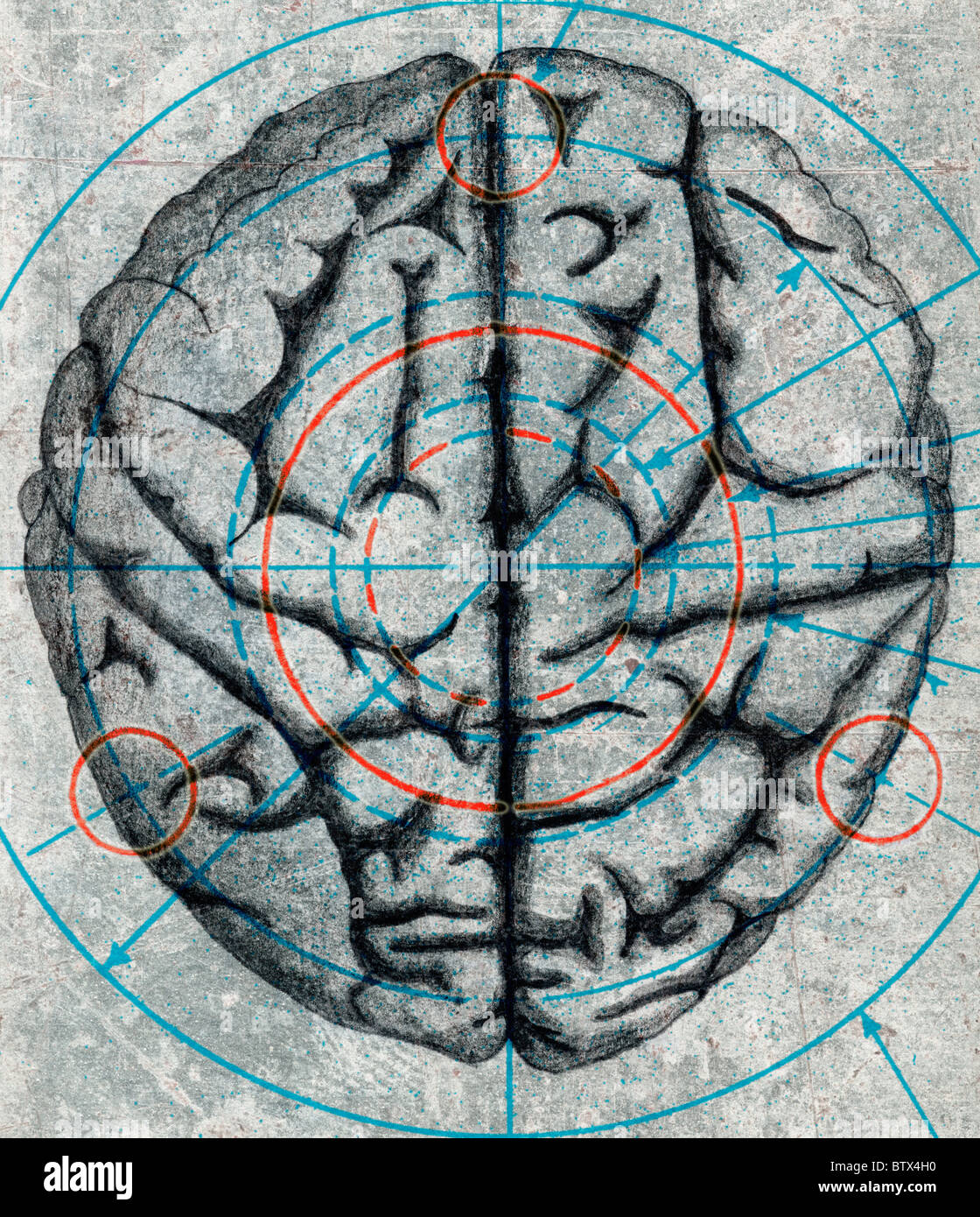 Brain illustration hi-res stock photography and images - Alamy